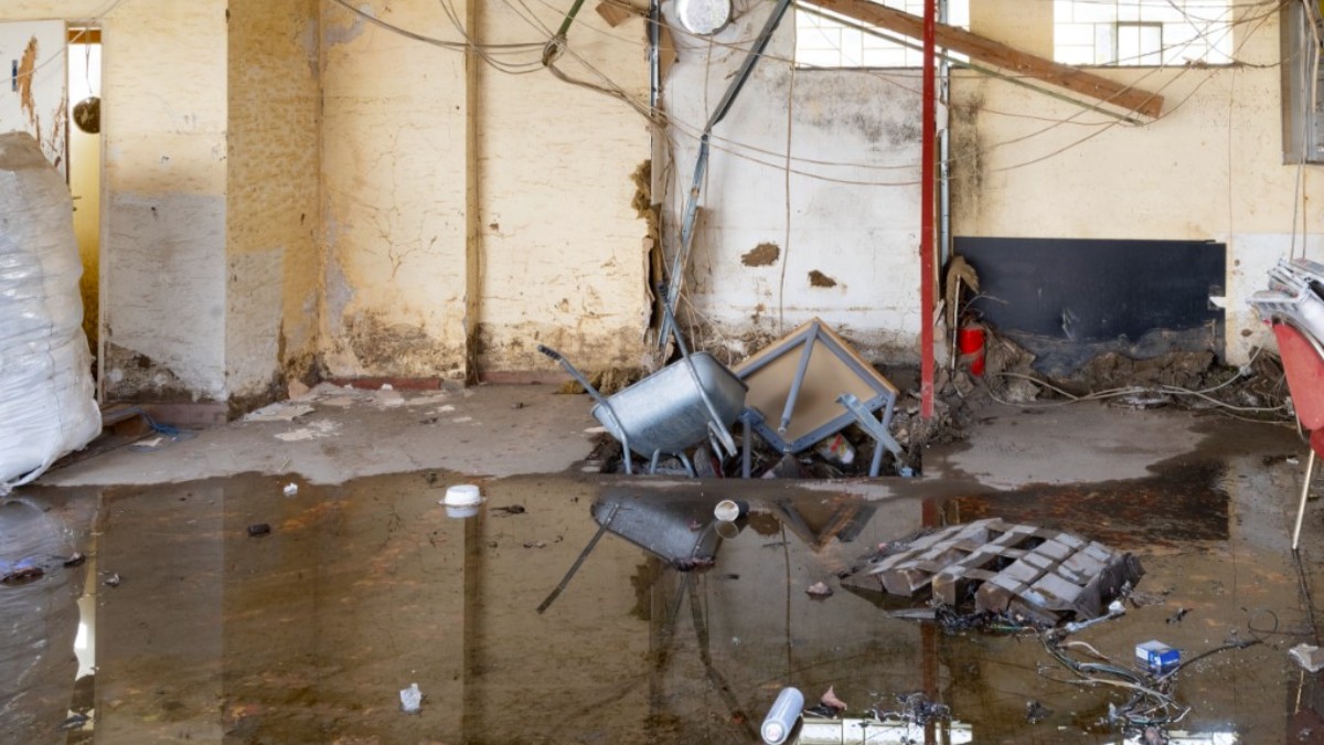 What To Do Immediately After Discovering Water Damage | Crestview ...