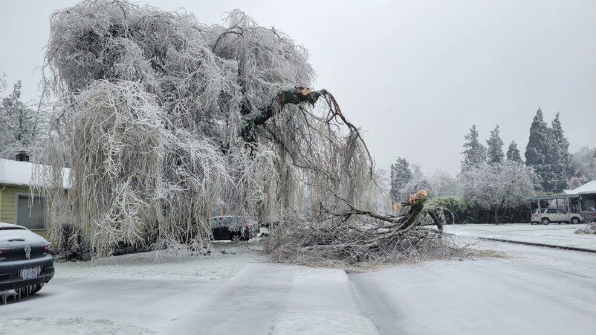 What To Do Immediately After Your Property Suffers Winter Damage ...
